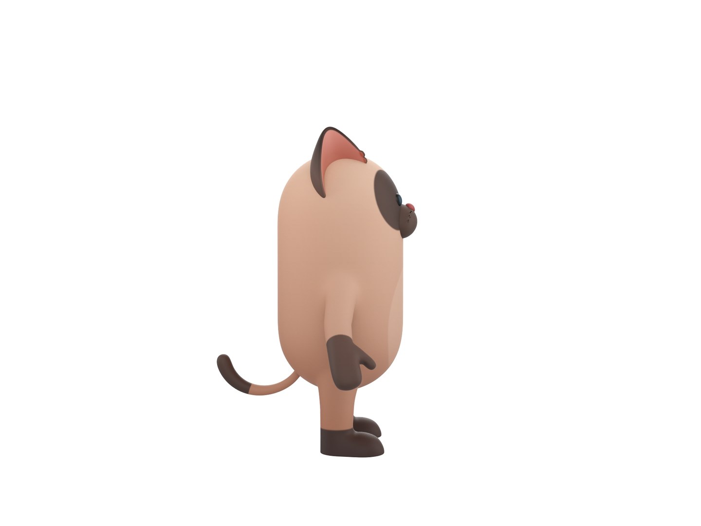 Siamese Cat Character Model - TurboSquid 2021206