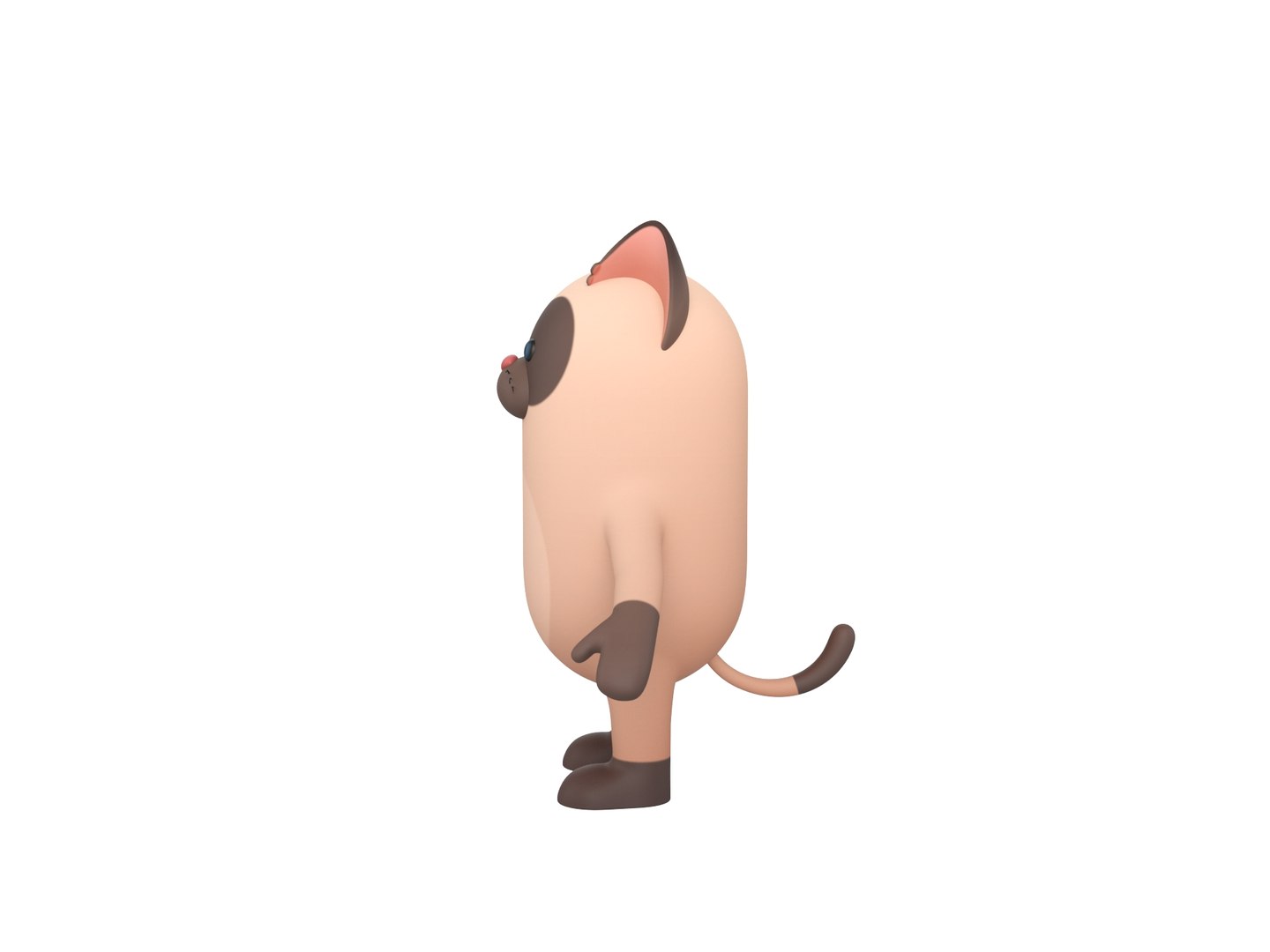 Siamese Cat Character Model - TurboSquid 2021206