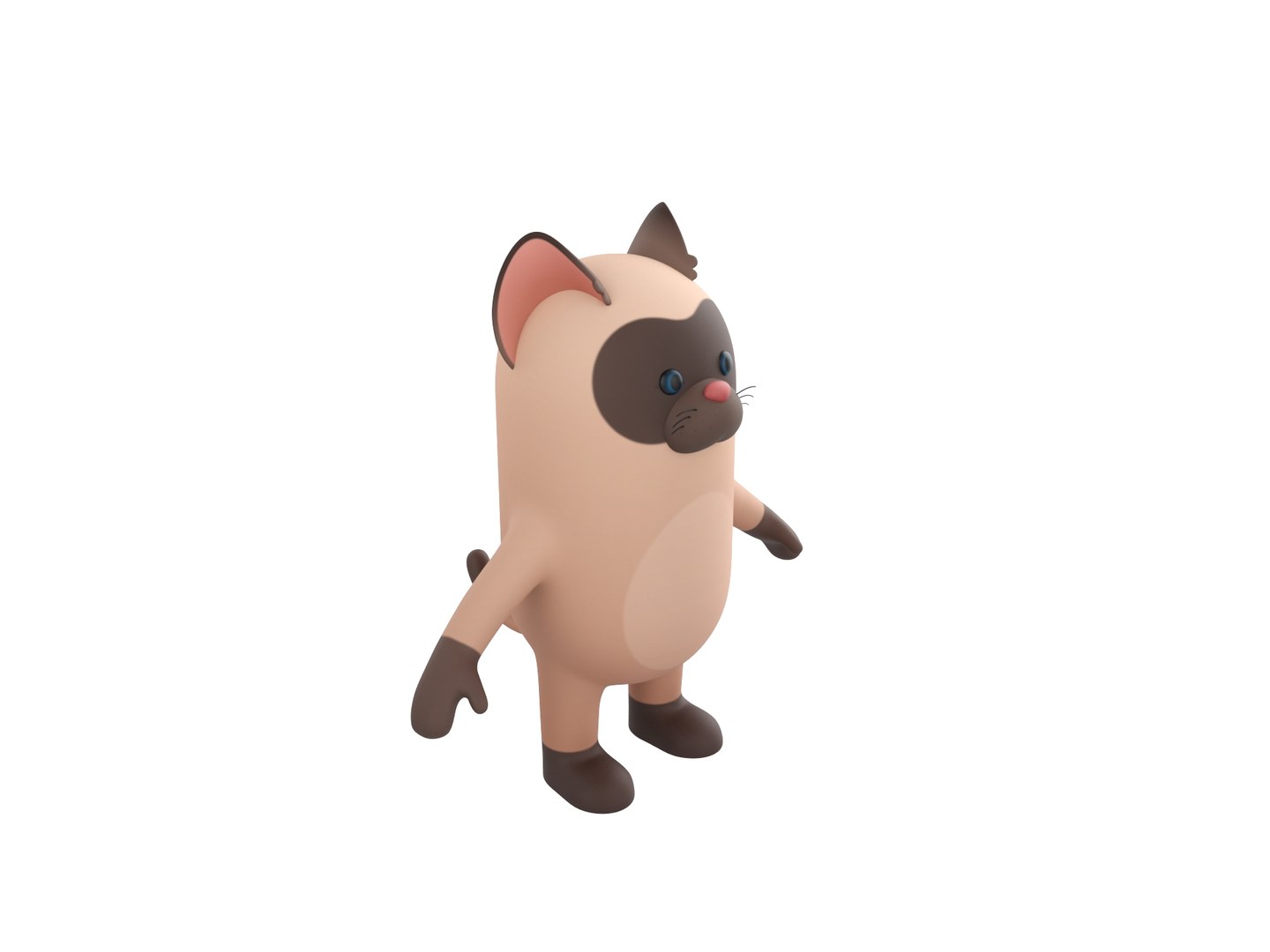 Siamese Cat Character Model - TurboSquid 2021206