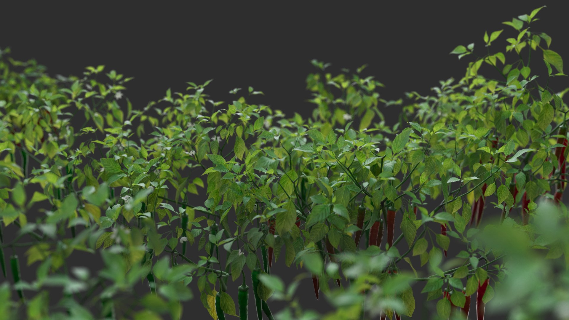 3D Vegetables Food Model - TurboSquid 1627455