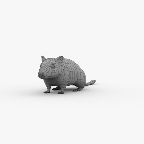 gerbil basemesh 3D 모델 - TurboSquid 2006925