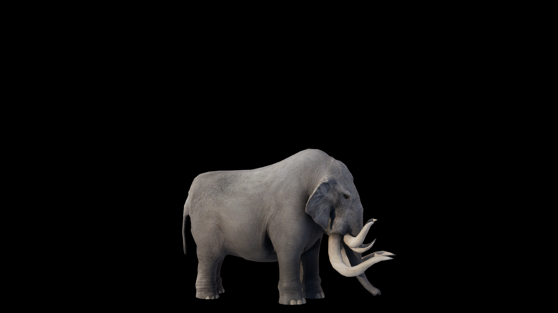 Elephant Animated 3D Model - TurboSquid 2091100