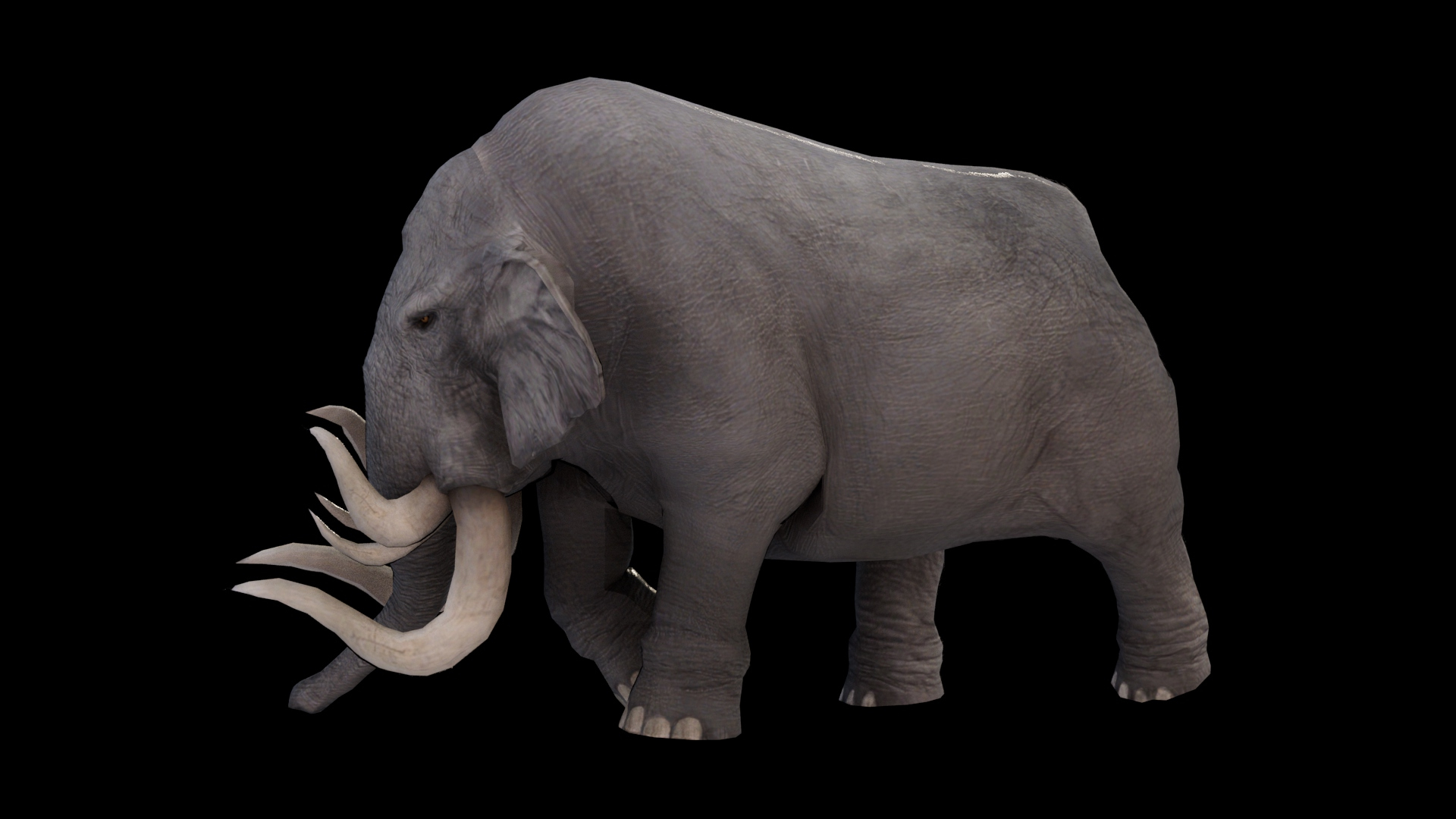 Elephant Animated 3D Model - TurboSquid 2091100