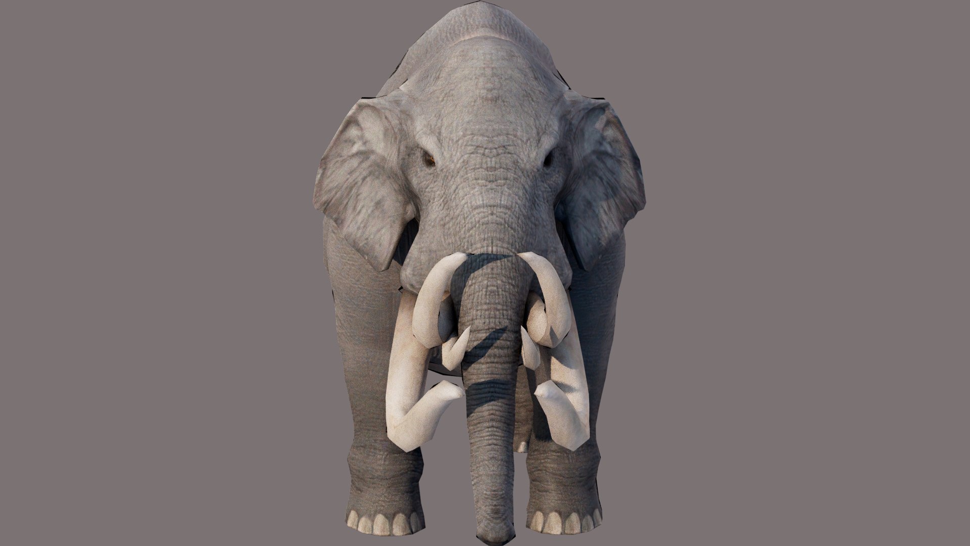 Elephant Animated 3D Model - TurboSquid 2091100