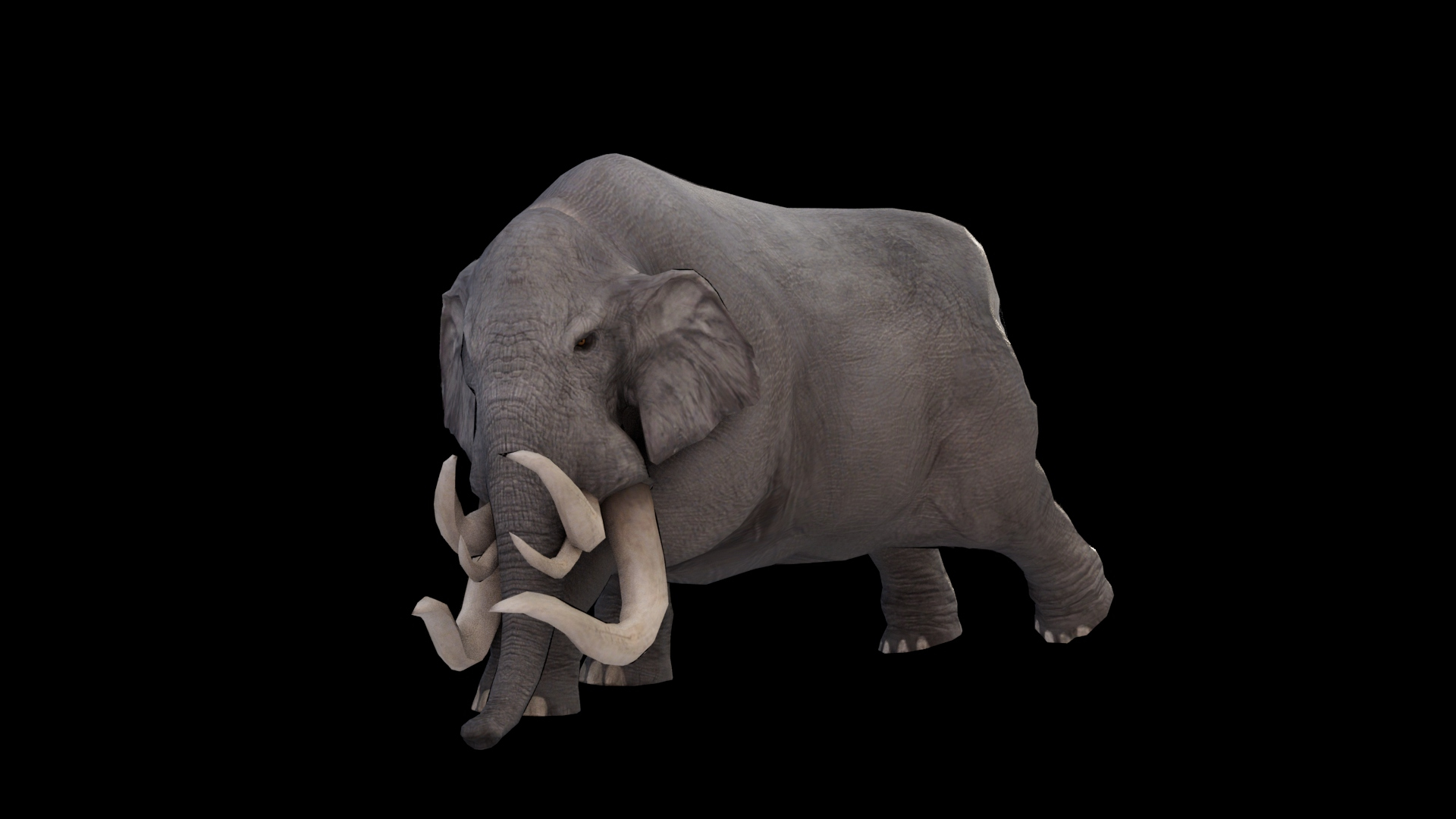 Elephant Animated 3D Model - TurboSquid 2091100