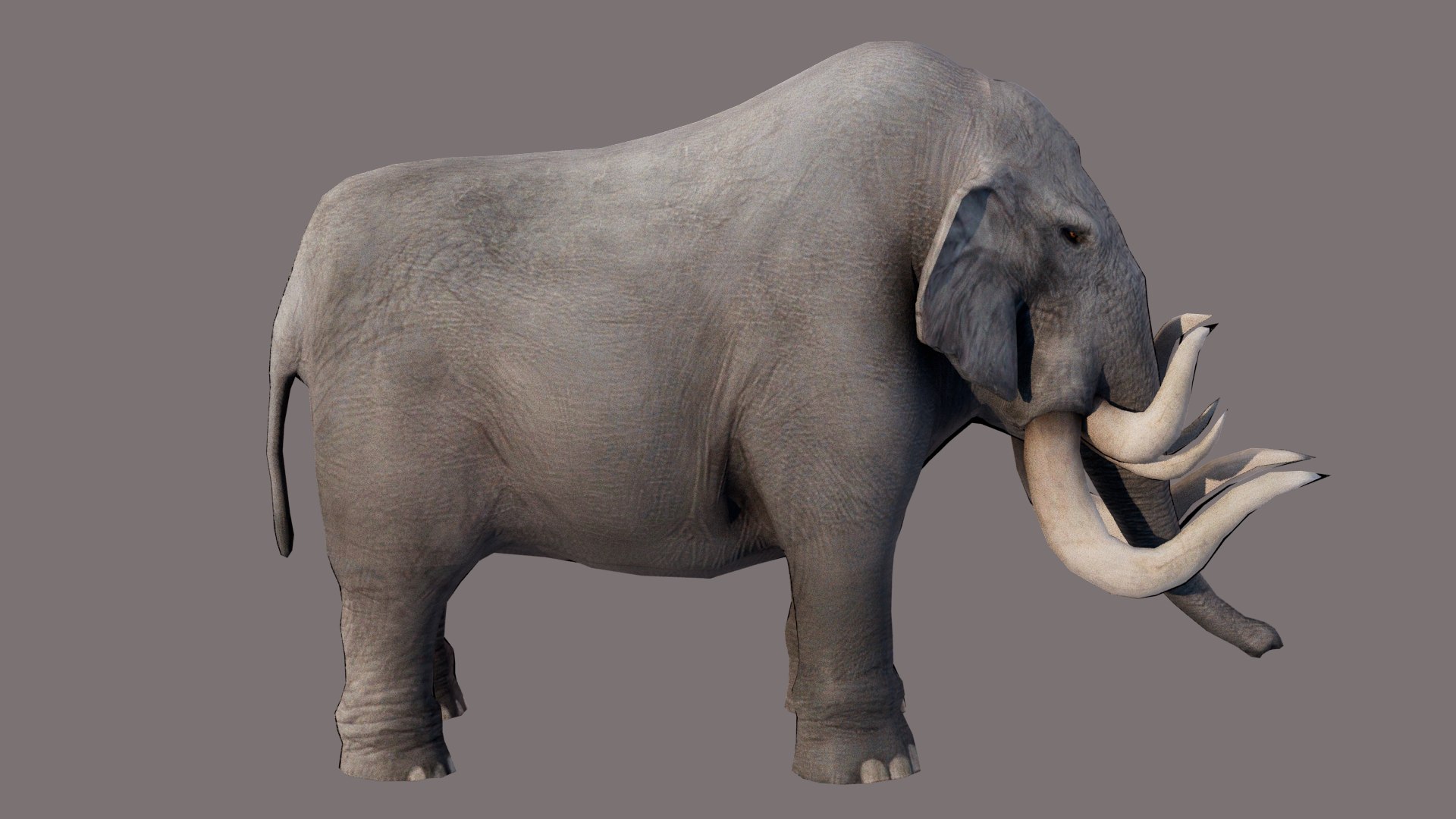 Elephant Animated 3D Model - TurboSquid 2091100