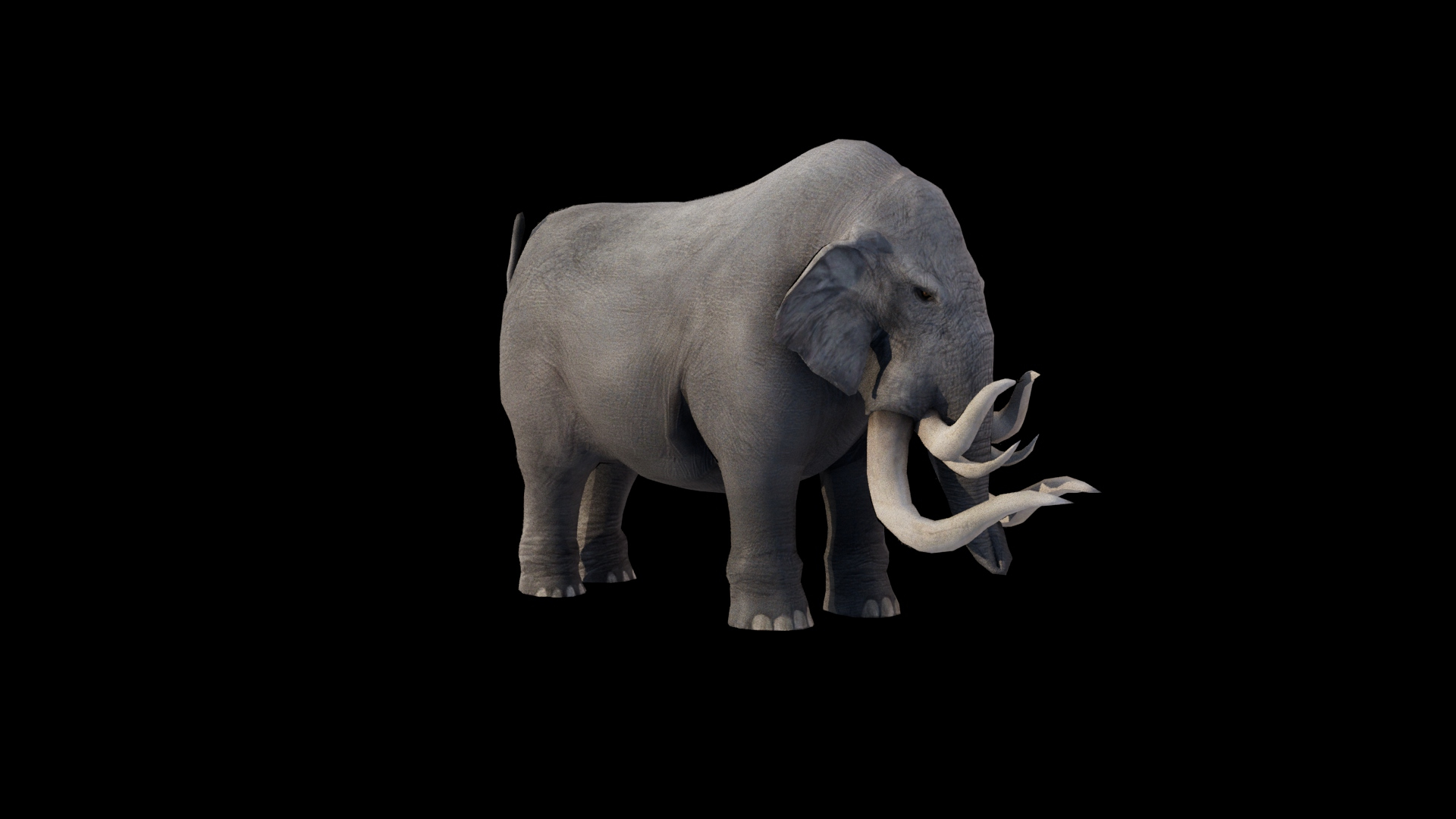 Elephant Animated 3D Model - TurboSquid 2091100