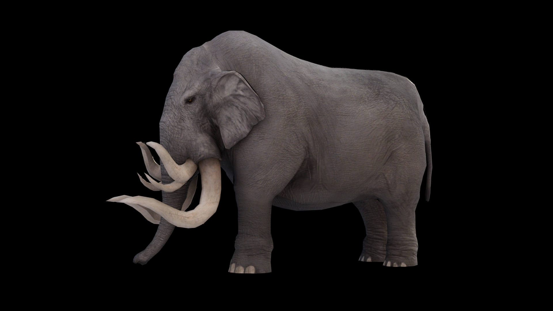 Elephant Animated 3D Model - TurboSquid 2091100