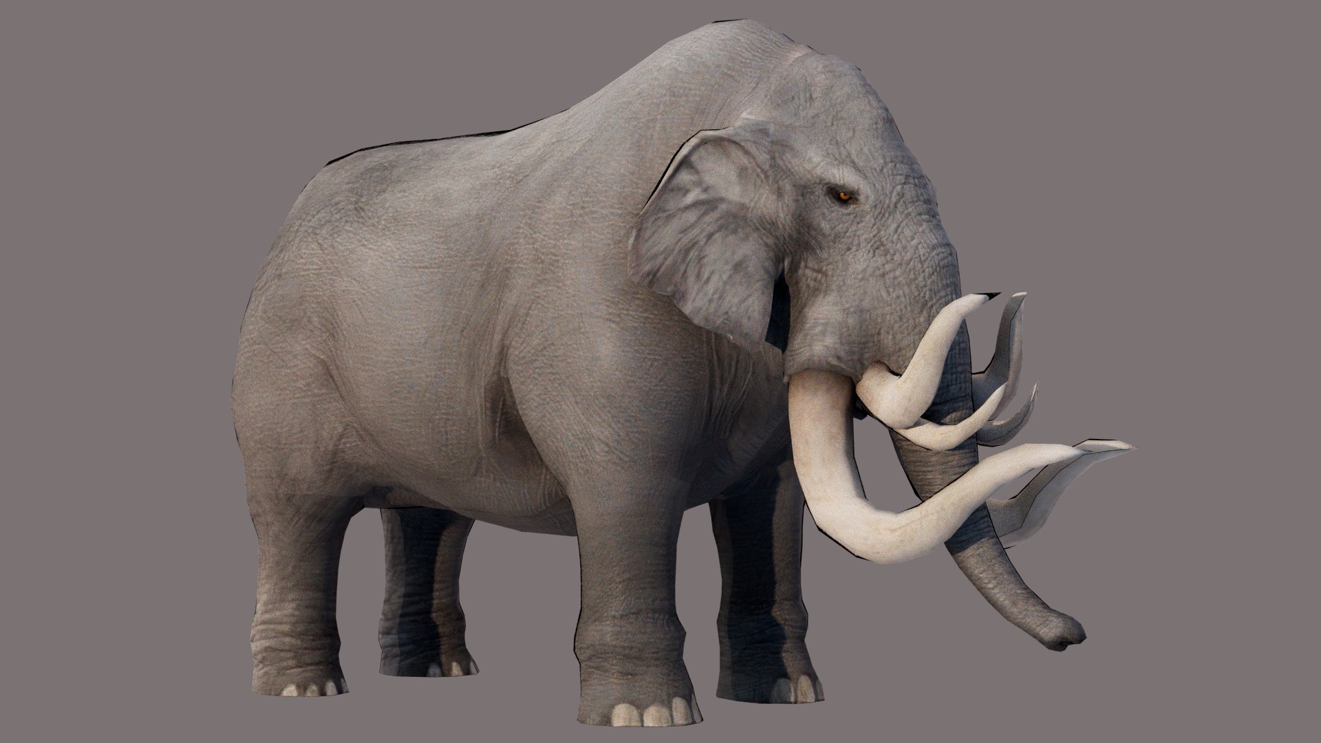 Elephant Animated 3D Model - TurboSquid 2091100