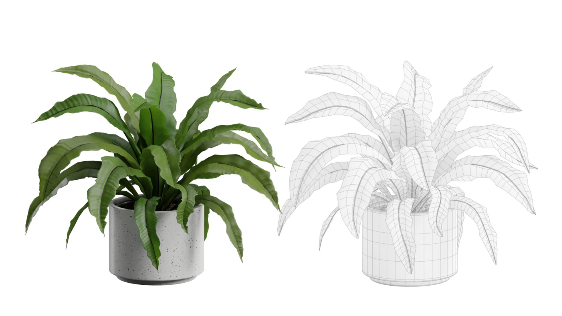 3D Indoor Plants Pack 57 - TurboSquid 2138382