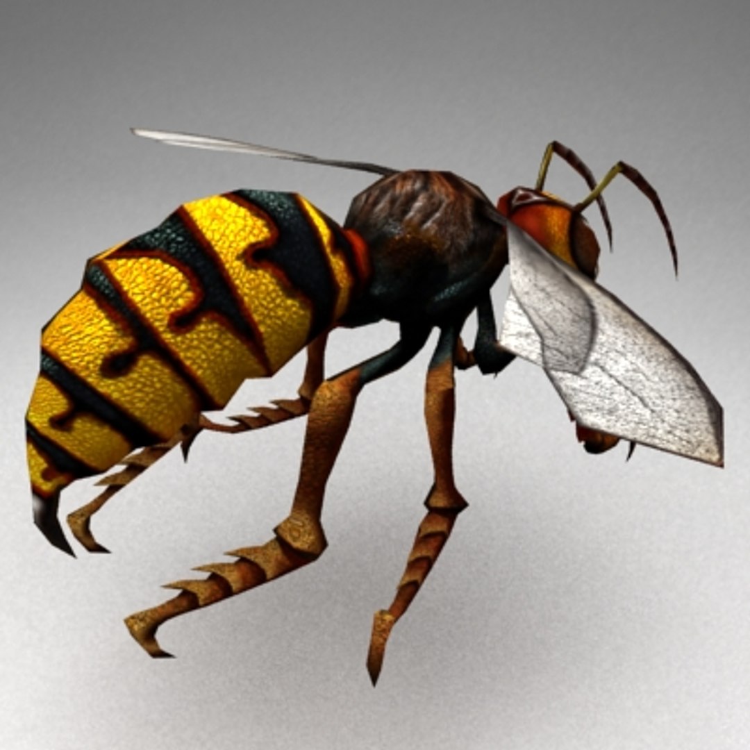 3ds Max Rigged Wasp Animations