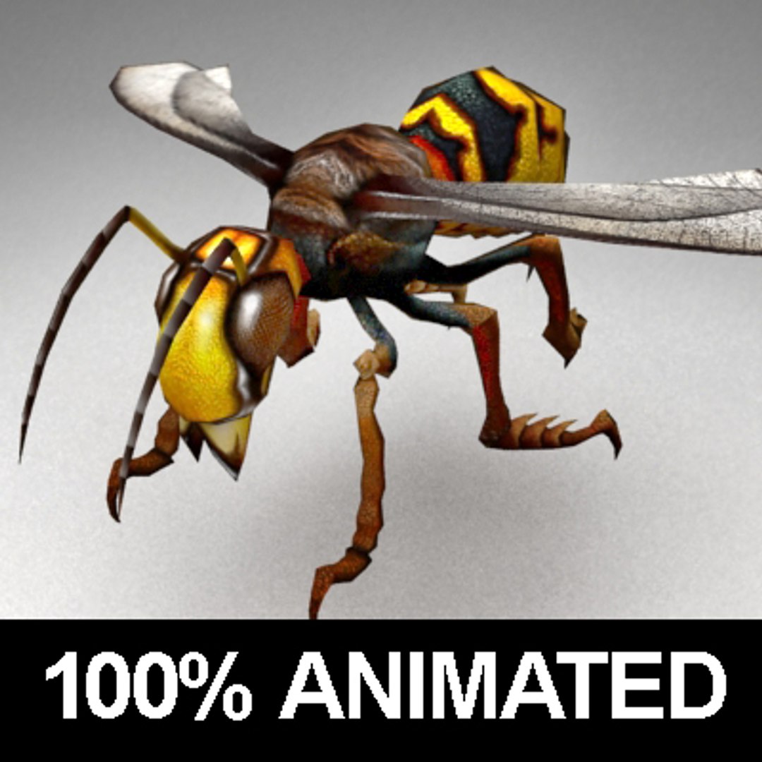 3ds Max Rigged Wasp Animations