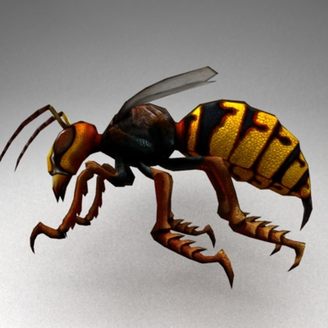 3ds Max Rigged Wasp Animations