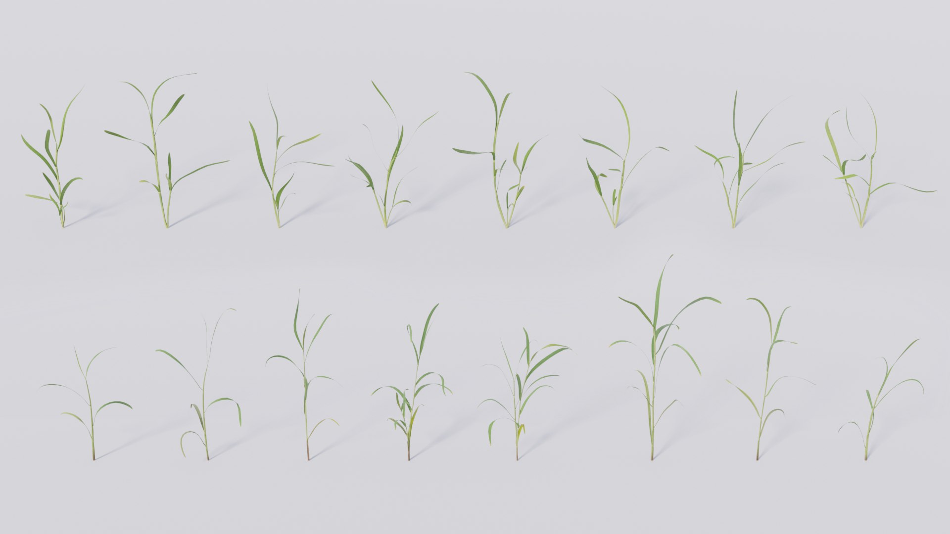 3D Model Grass Vol01 - TurboSquid 1566184