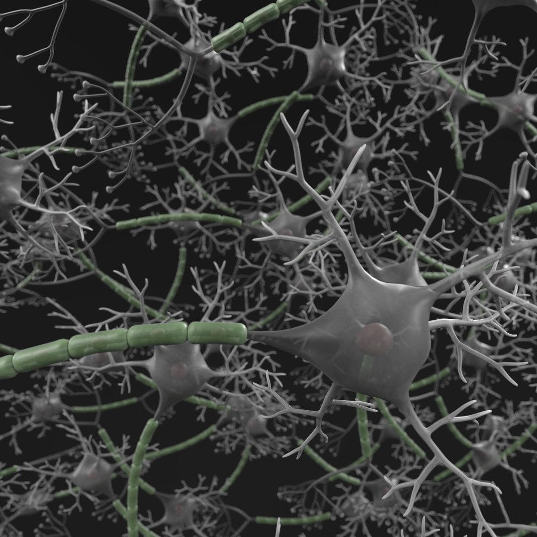 Neuron Network 3d Model