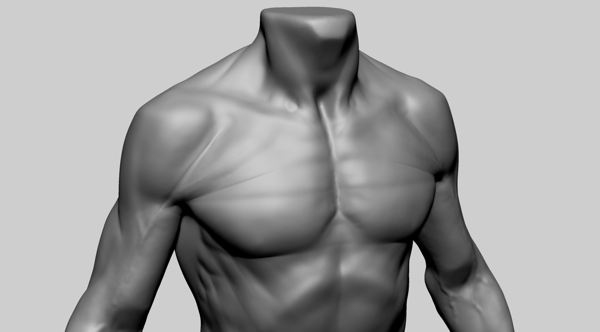 3D Male Torso C - TurboSquid 2206349