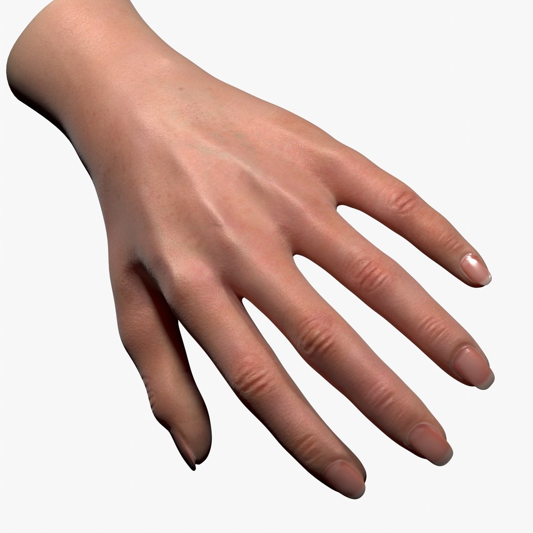3D Model Female Hand Textured - TurboSquid 2404180