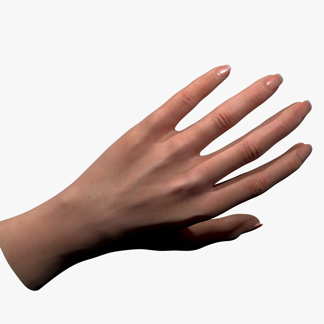 3D Model Female Hand Textured - TurboSquid 2404180