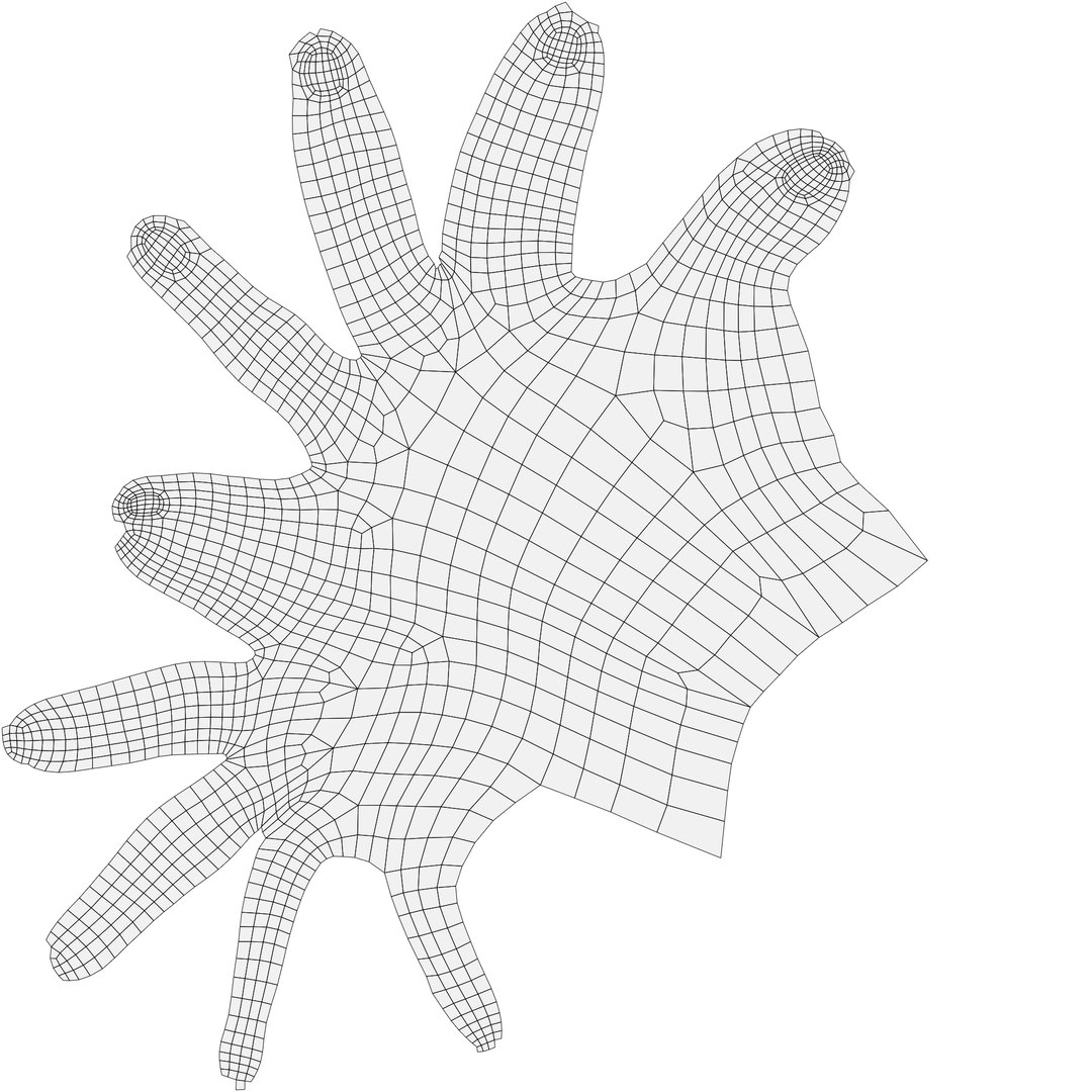 3D Model Female Hand Textured - TurboSquid 2404180