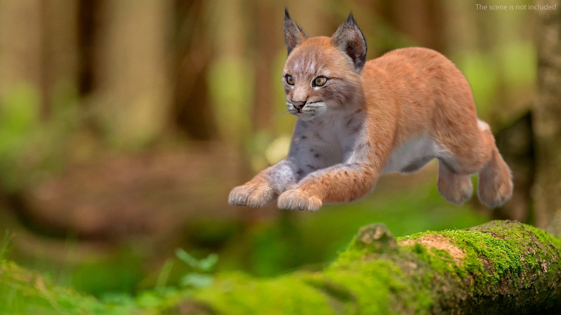 Lynx Cub In Jumping Pose Fur 3D - TurboSquid 2359098