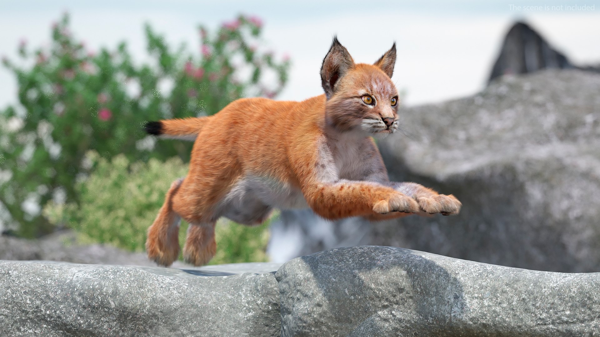 Lynx Cub In Jumping Pose Fur 3D - TurboSquid 2359098