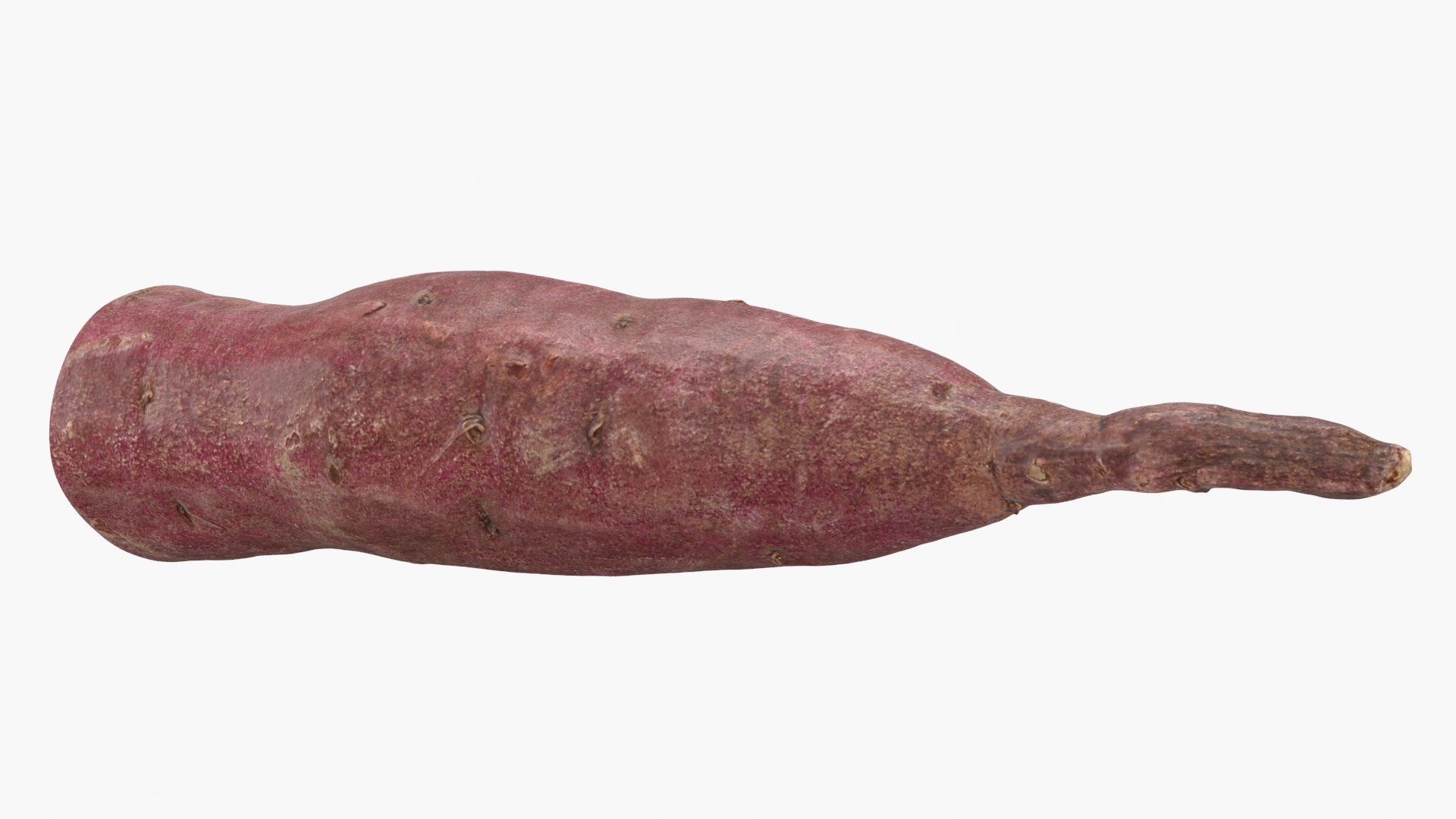 Half Sweet Potato 04 Model - TurboSquid 2110775