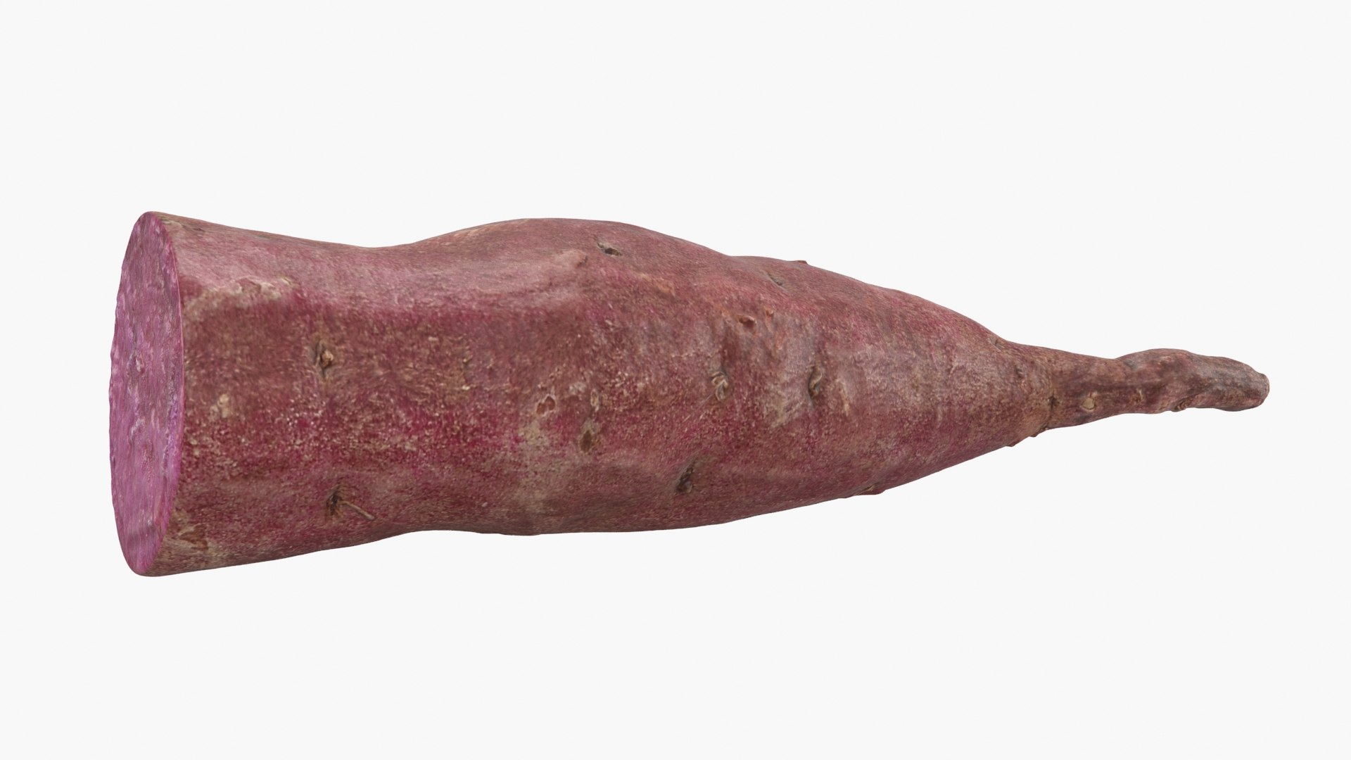 Half Sweet Potato 04 Model - TurboSquid 2110775