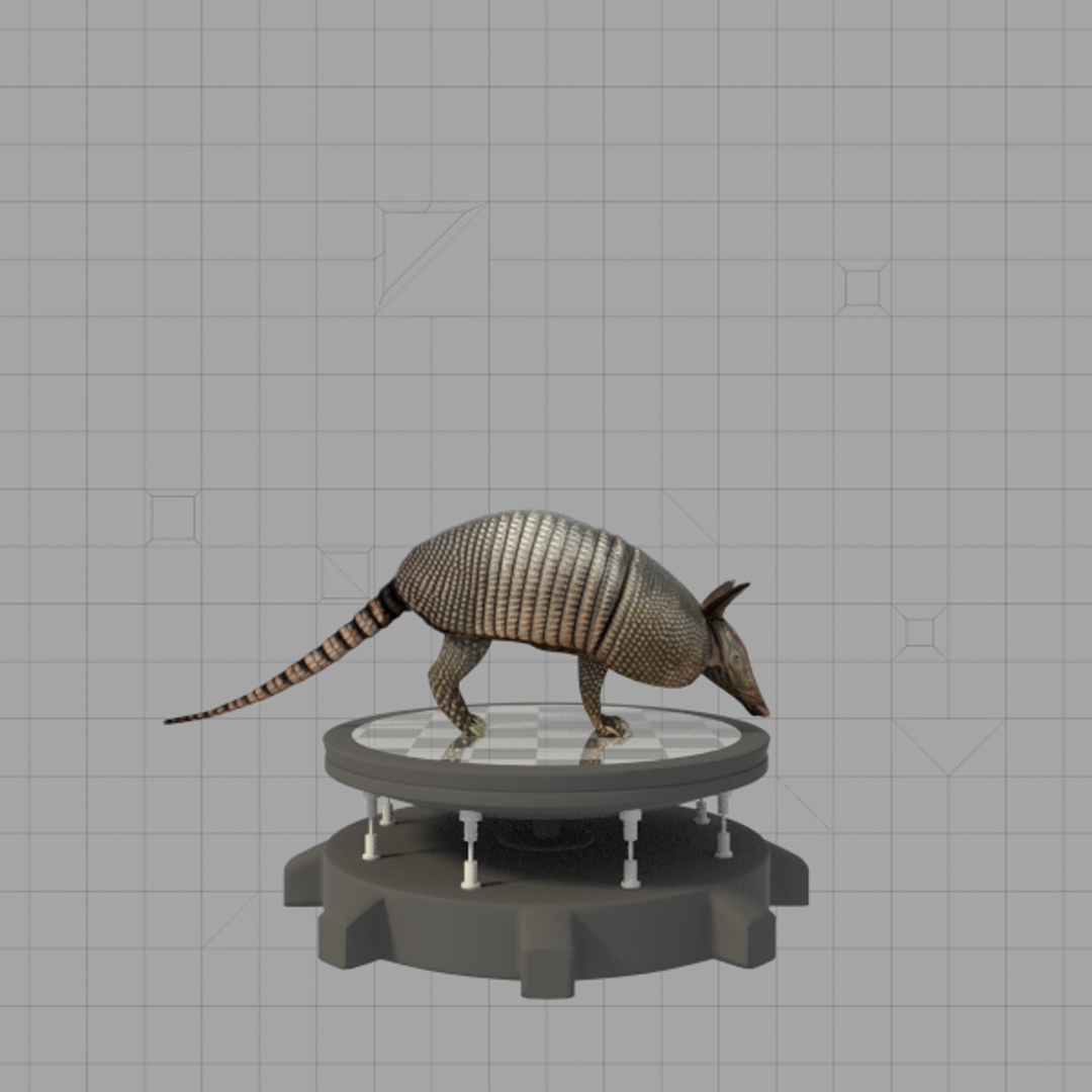 Armadillo Dasypus Novemcinctus 3d X