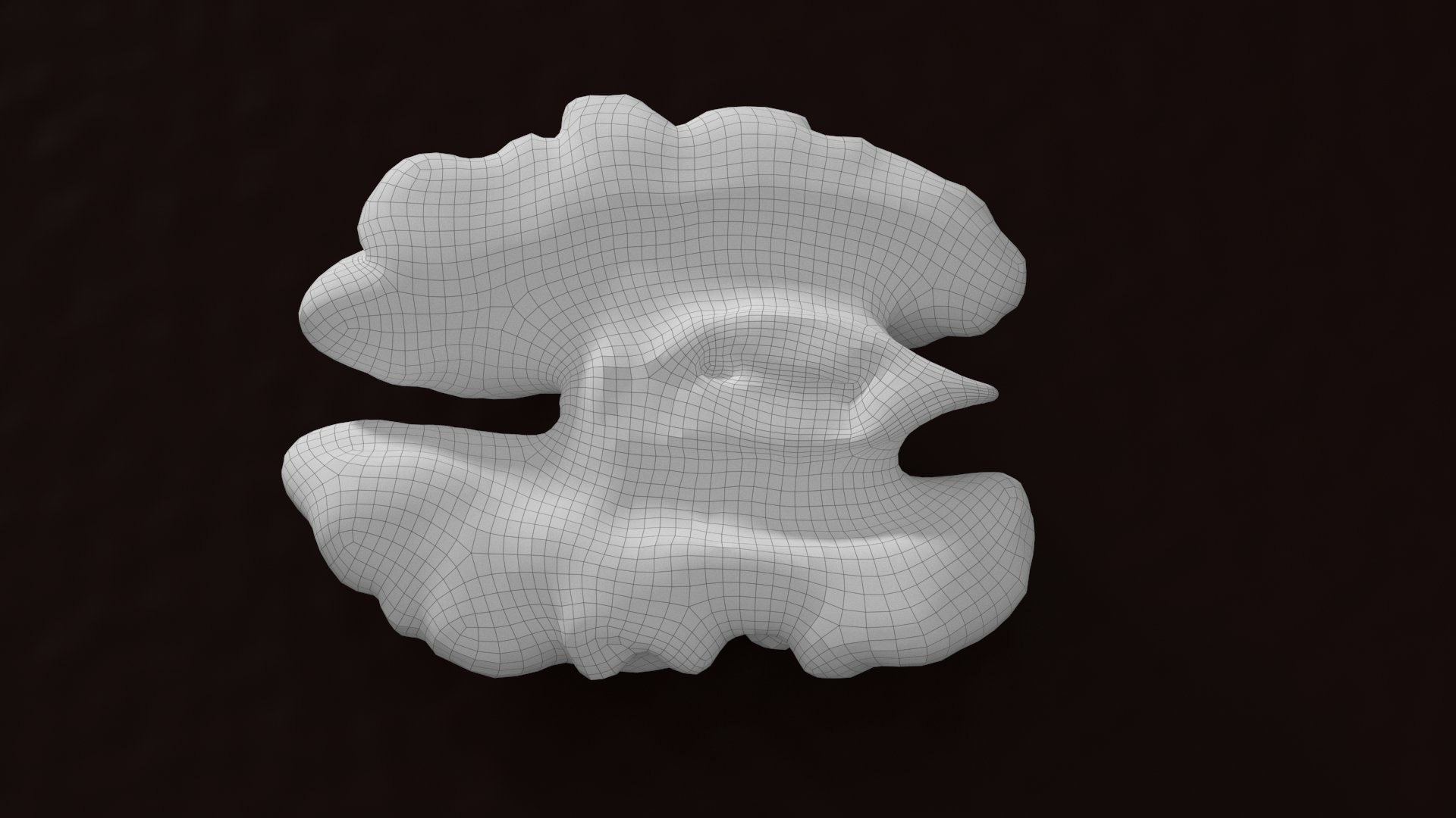 3D Half Walnut - TurboSquid 1444777