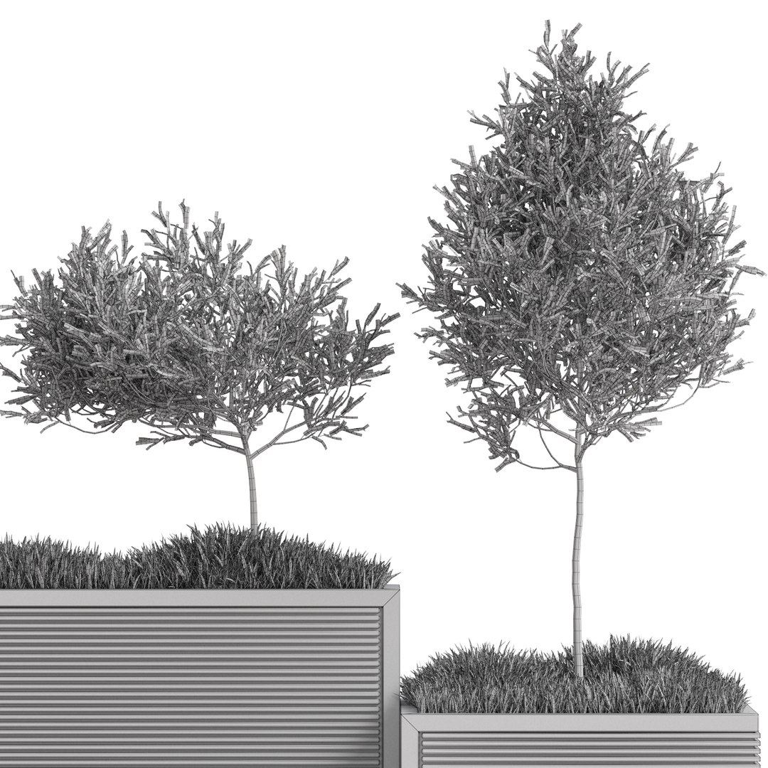 3D Model Plants Collection 773 - TurboSquid 1962518