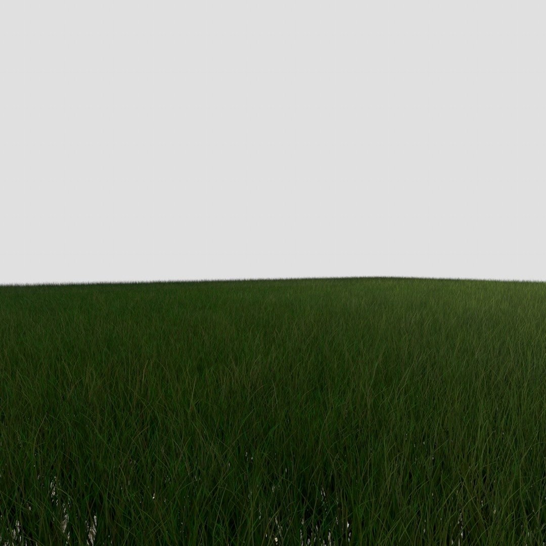 3d Grass Dynamic