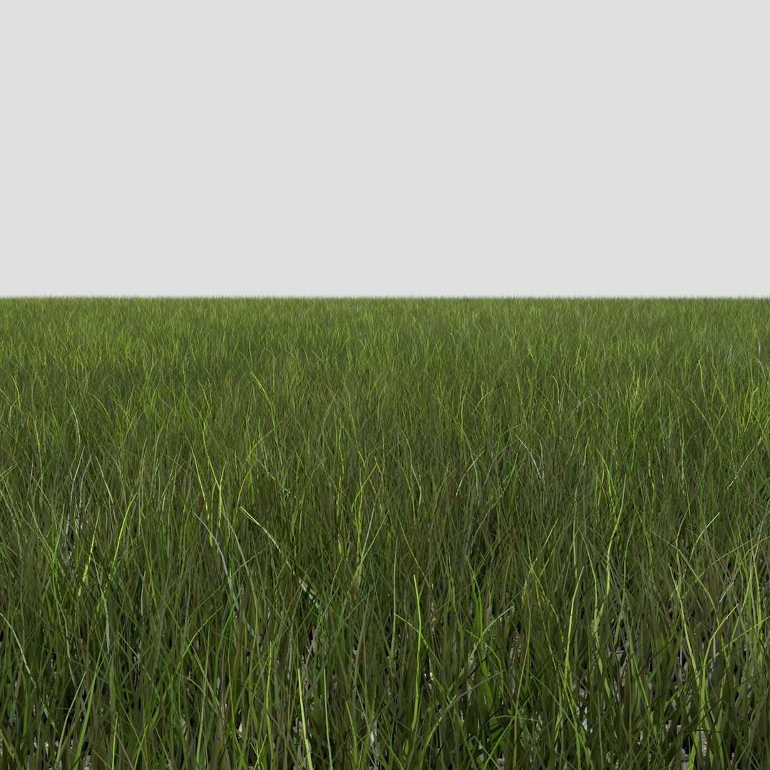 3d Grass Dynamic