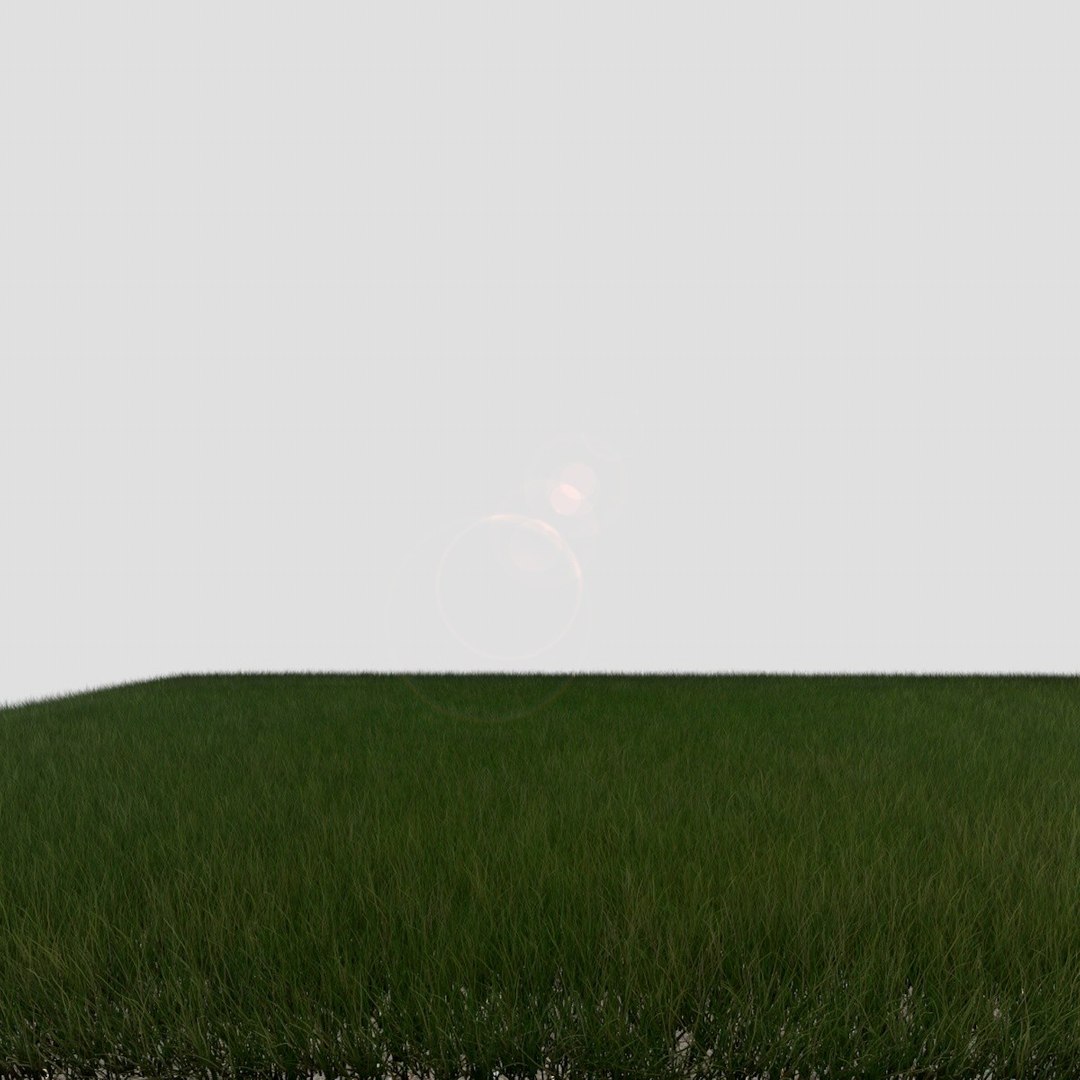 3d Grass Dynamic