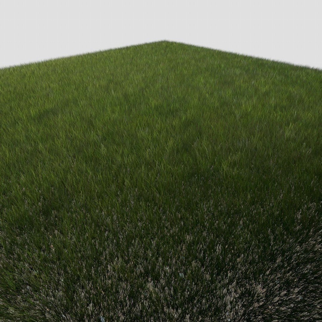 3d Grass Dynamic