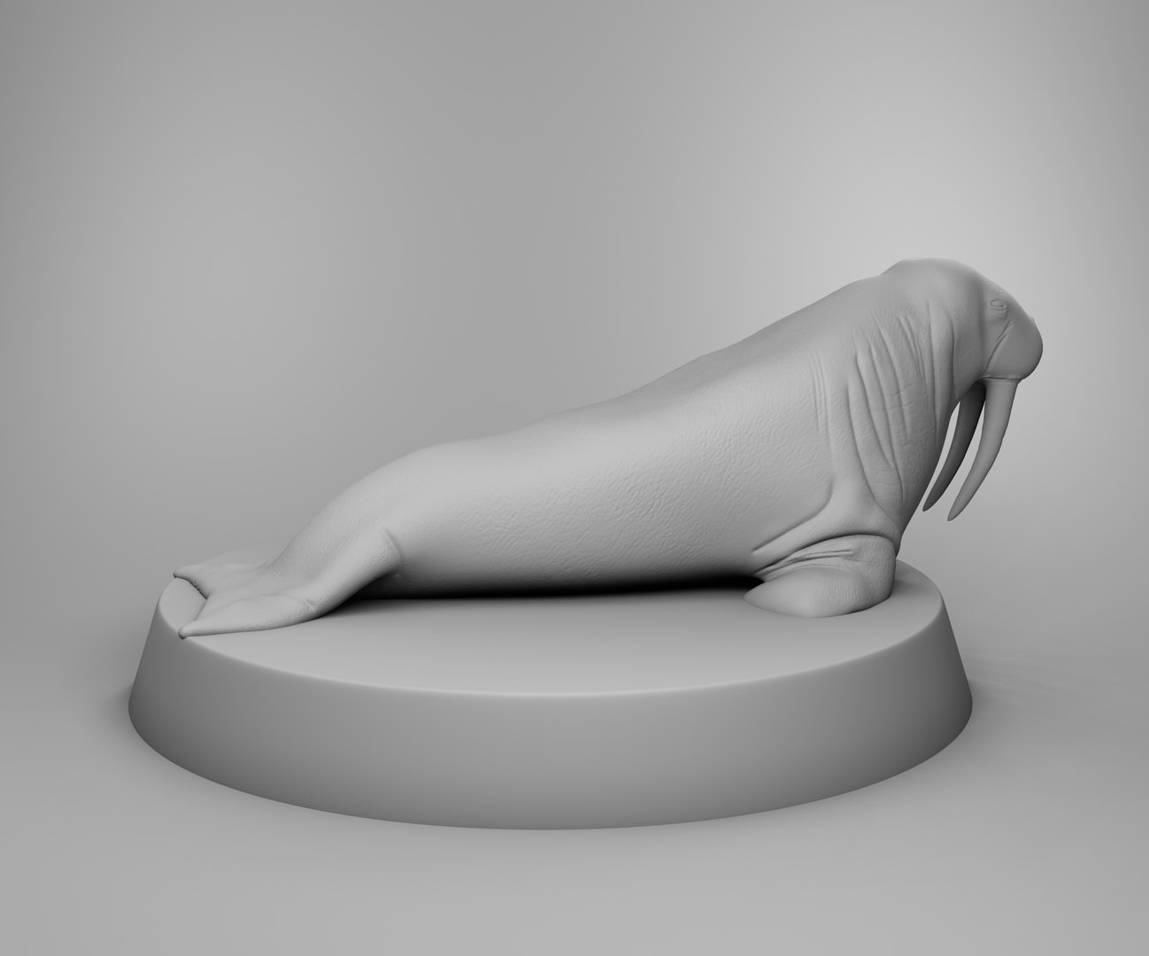 Animals Nature Walrus 3D Model - TurboSquid 1681452