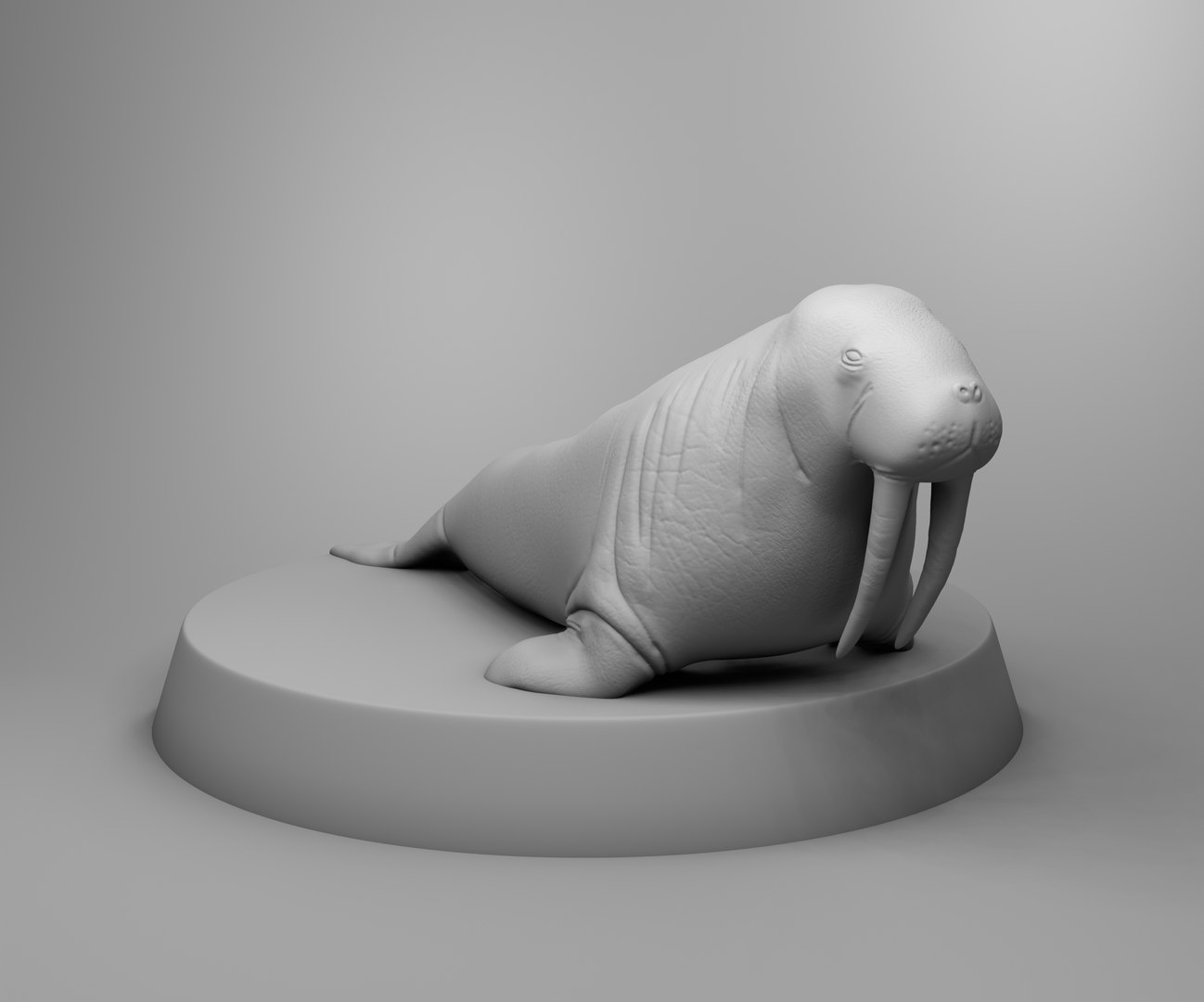 Animals Nature Walrus 3D Model - TurboSquid 1681452
