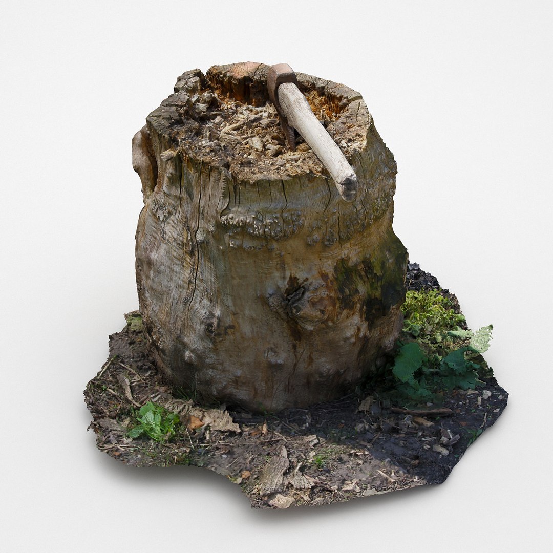 3d Model Tree Stump Scan