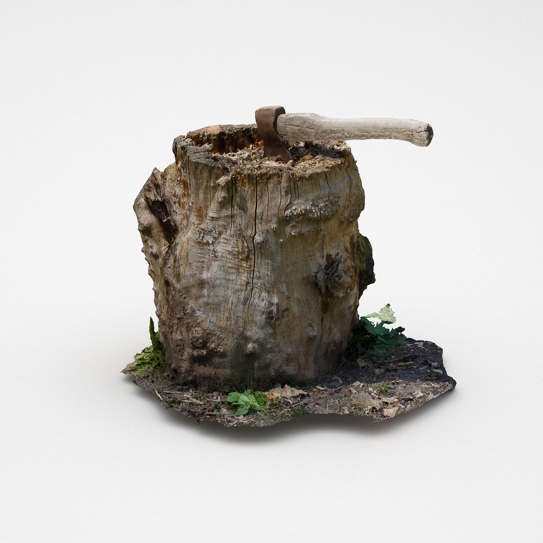 3d Model Tree Stump Scan