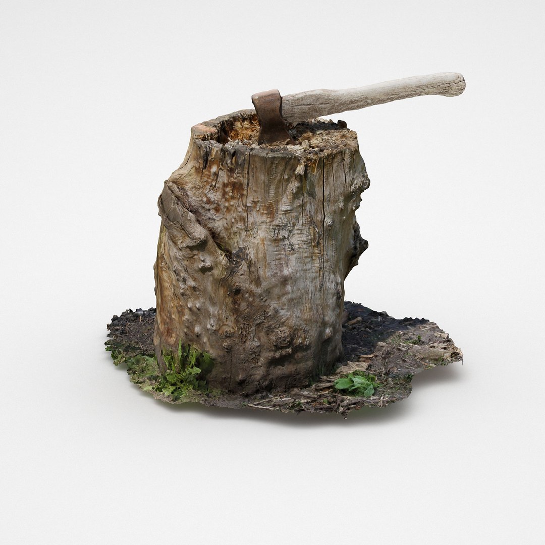 3d Model Tree Stump Scan