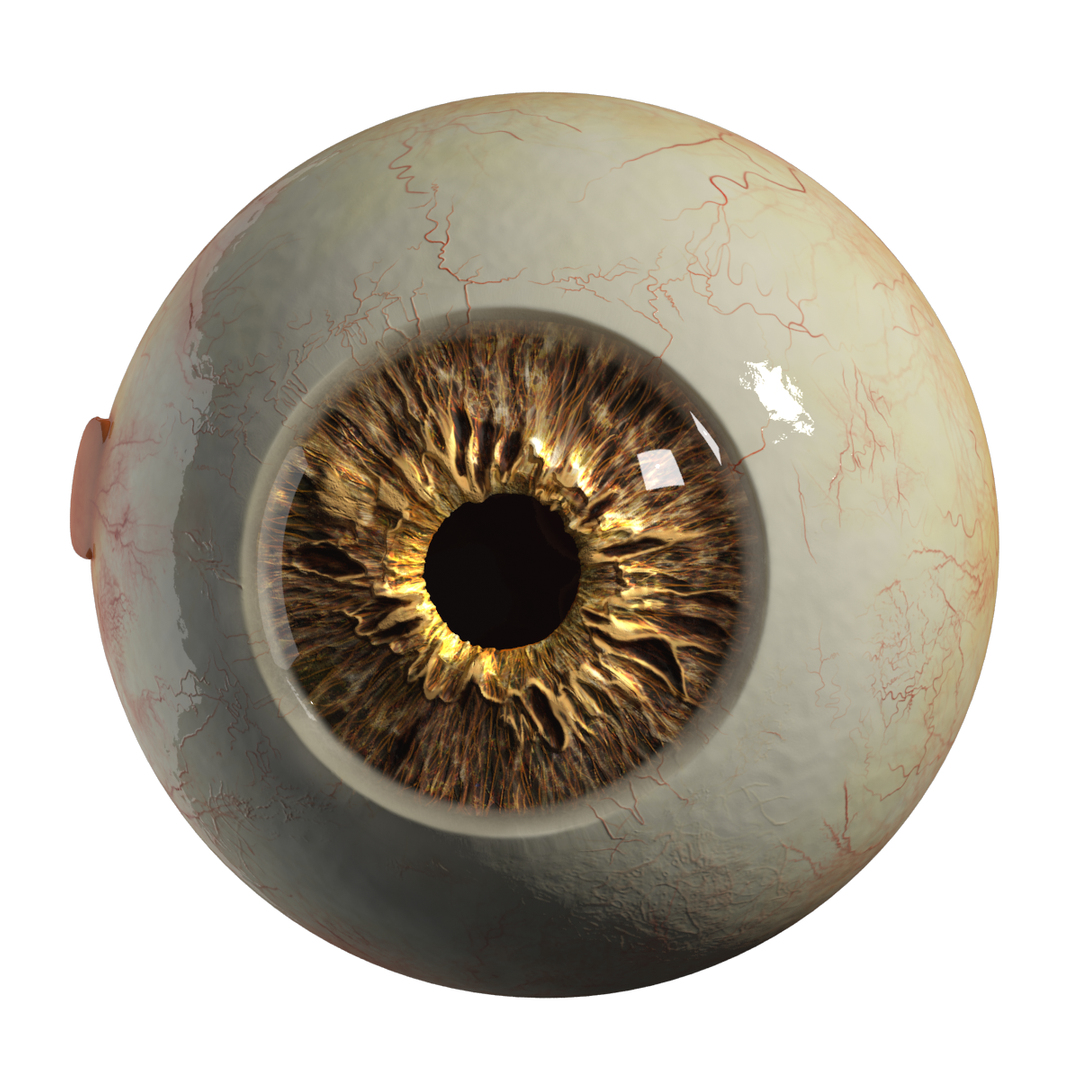 3d Realistic Eyeball Eyes