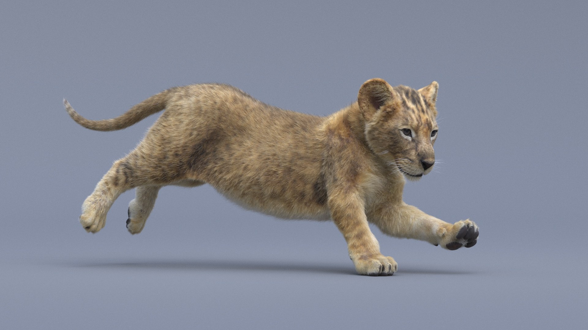 3D Model Lion And Lion Cub Animated - TurboSquid 2262927