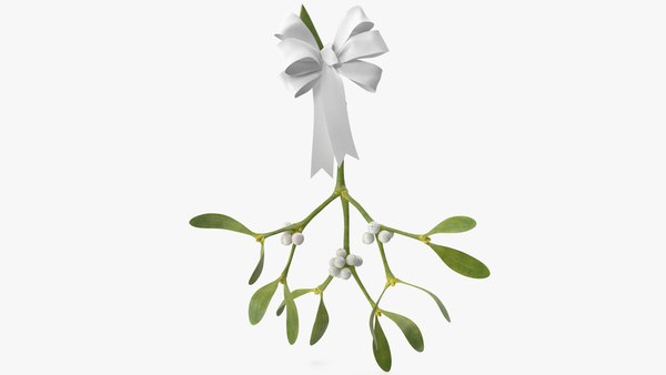 3D Mistletoe 1 with White Bow - TurboSquid 1806453