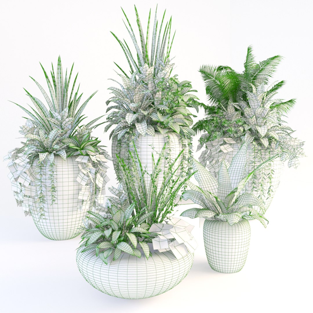 3D plant - TurboSquid 1171740
