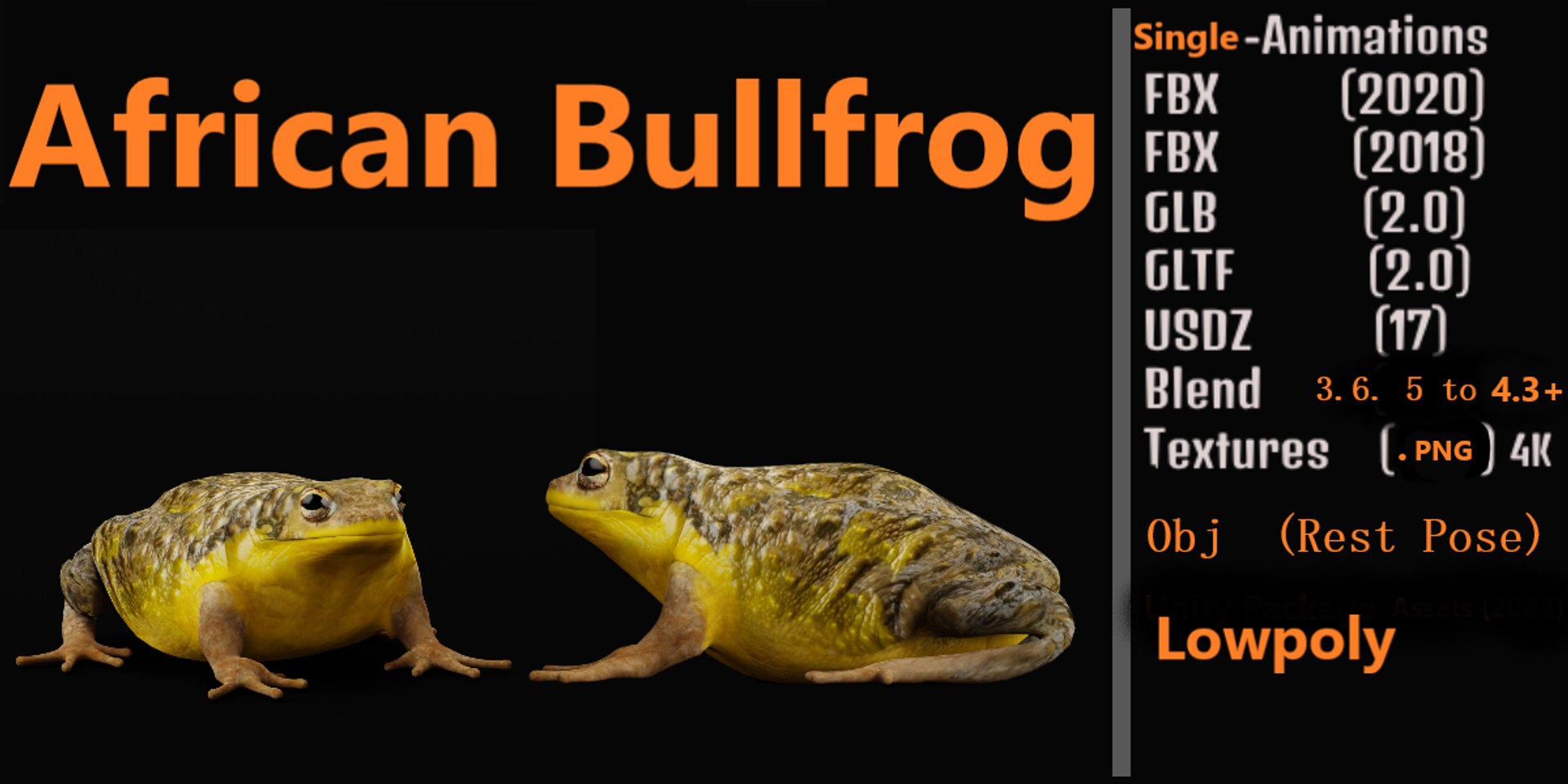 African Bullfrog 3D Model - TurboSquid 2348486