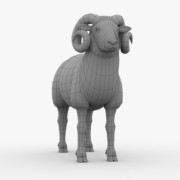 modelo 3d ram sheep basemesh - TurboSquid 2007155
