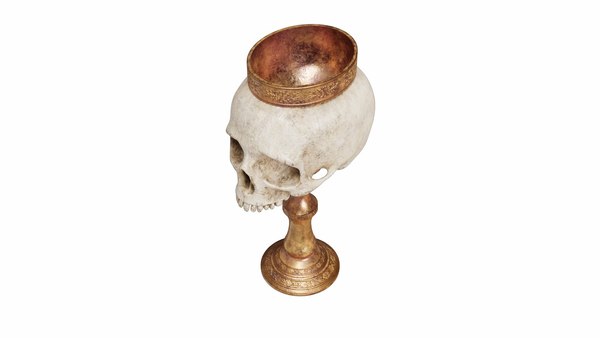 Skull cup model - TurboSquid 1663371