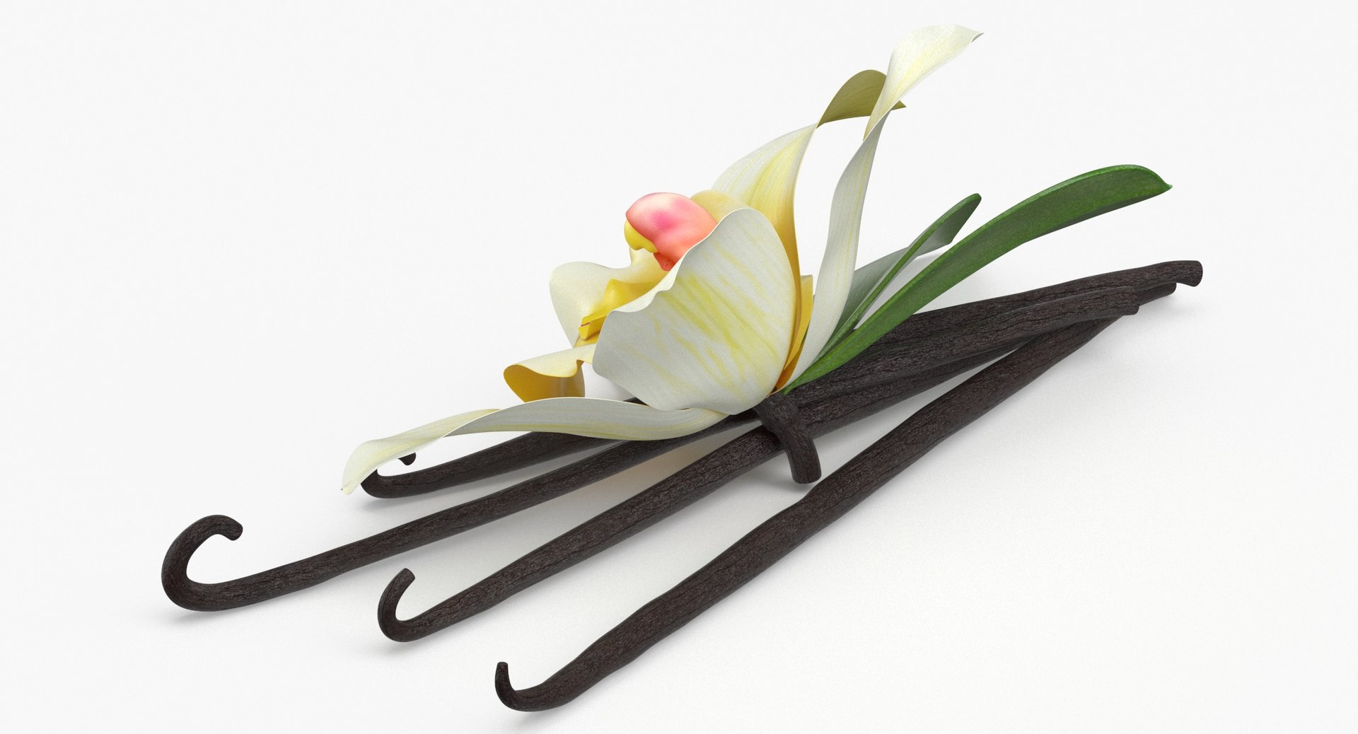 Prop 07 Vanilla Flowers And Beans Model - TurboSquid 2142675