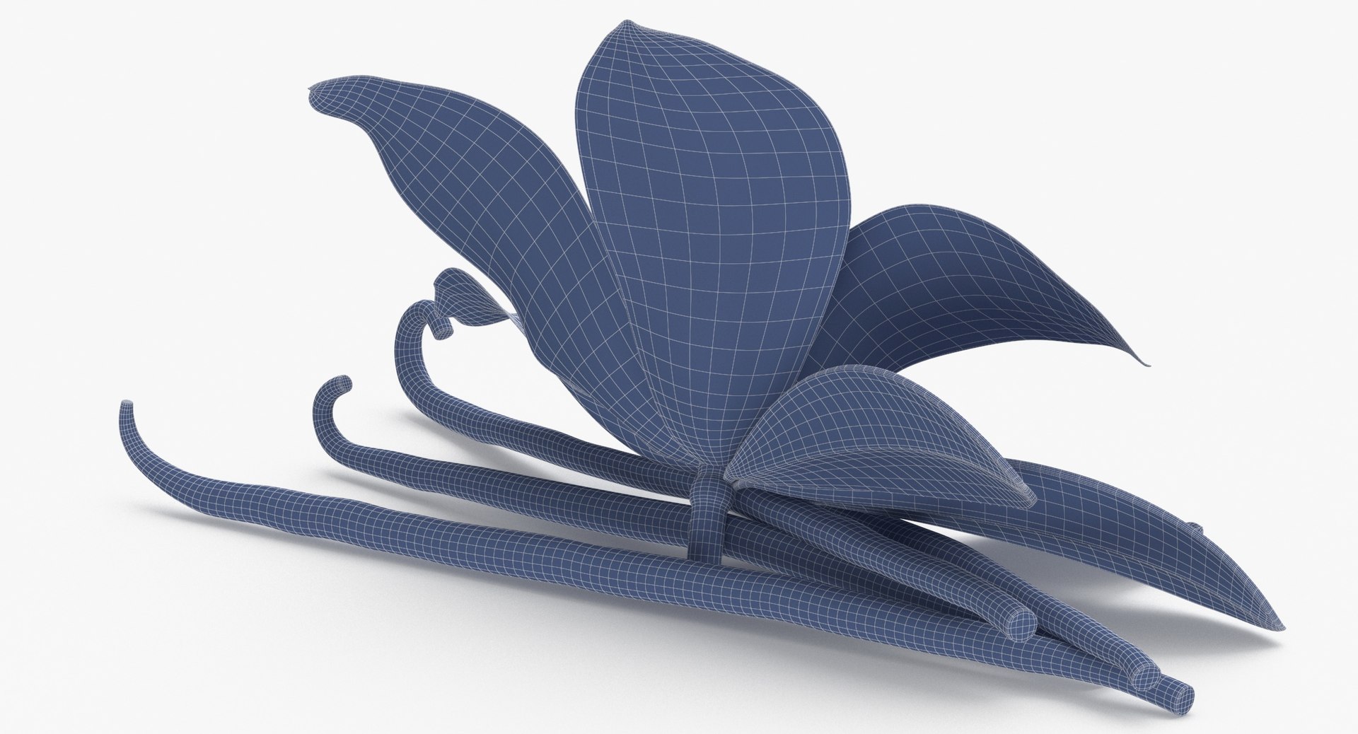 Prop 07 Vanilla Flowers And Beans Model - TurboSquid 2142675