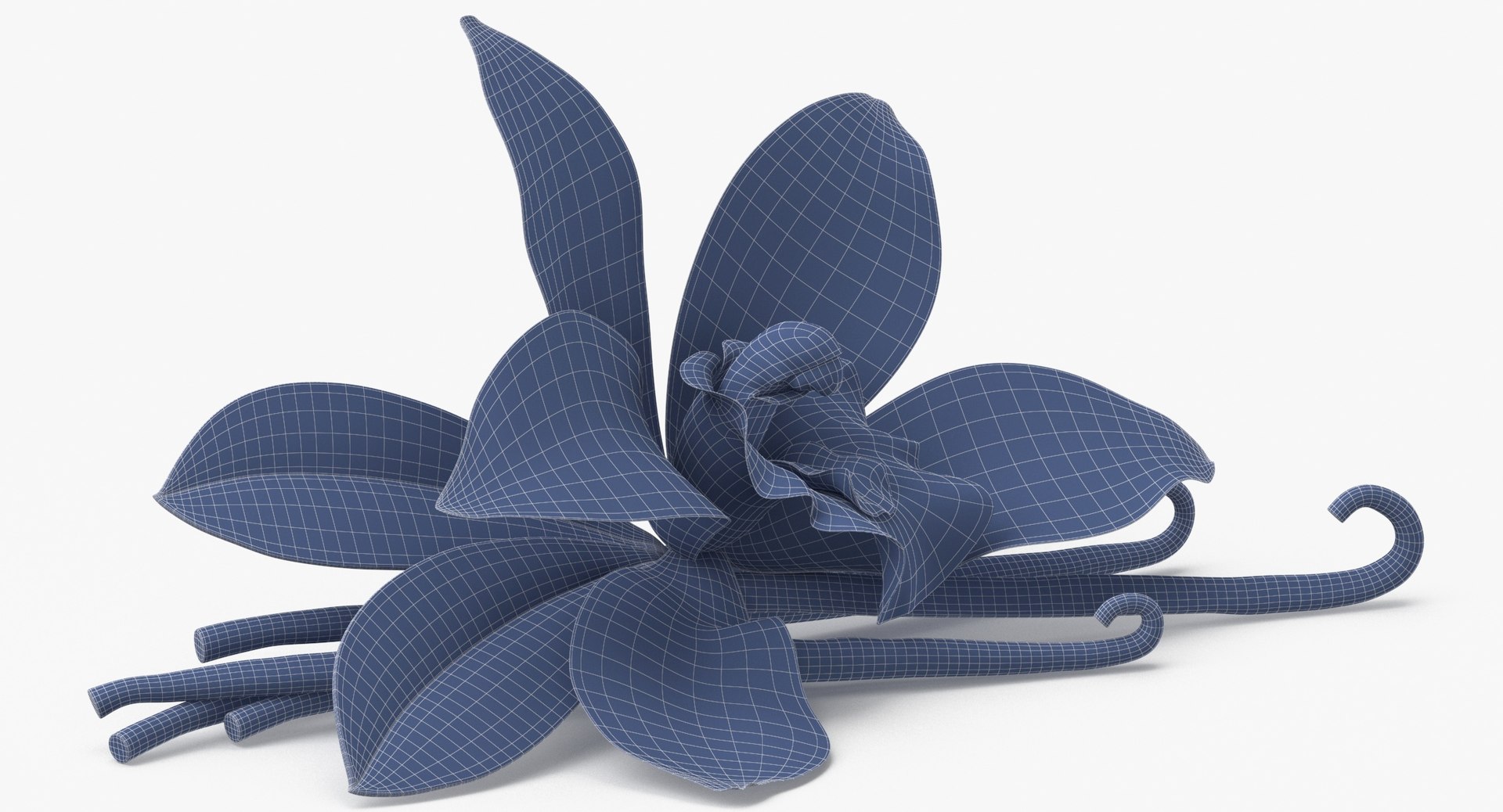 Prop 07 Vanilla Flowers And Beans Model - TurboSquid 2142675