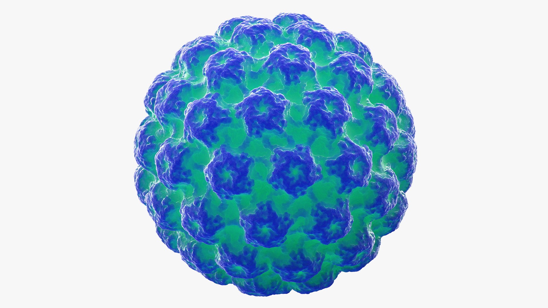 3D microscopic anatomy 2 model - TurboSquid 1445894